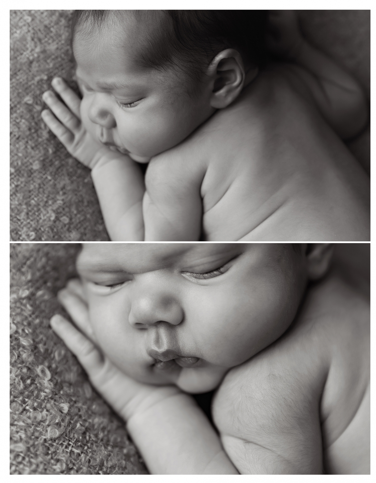 Toowoomba Newborn Photographer – Archie » Sarah Gage Photography ...